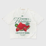 Camisetas Box-Fit– TRUE.
